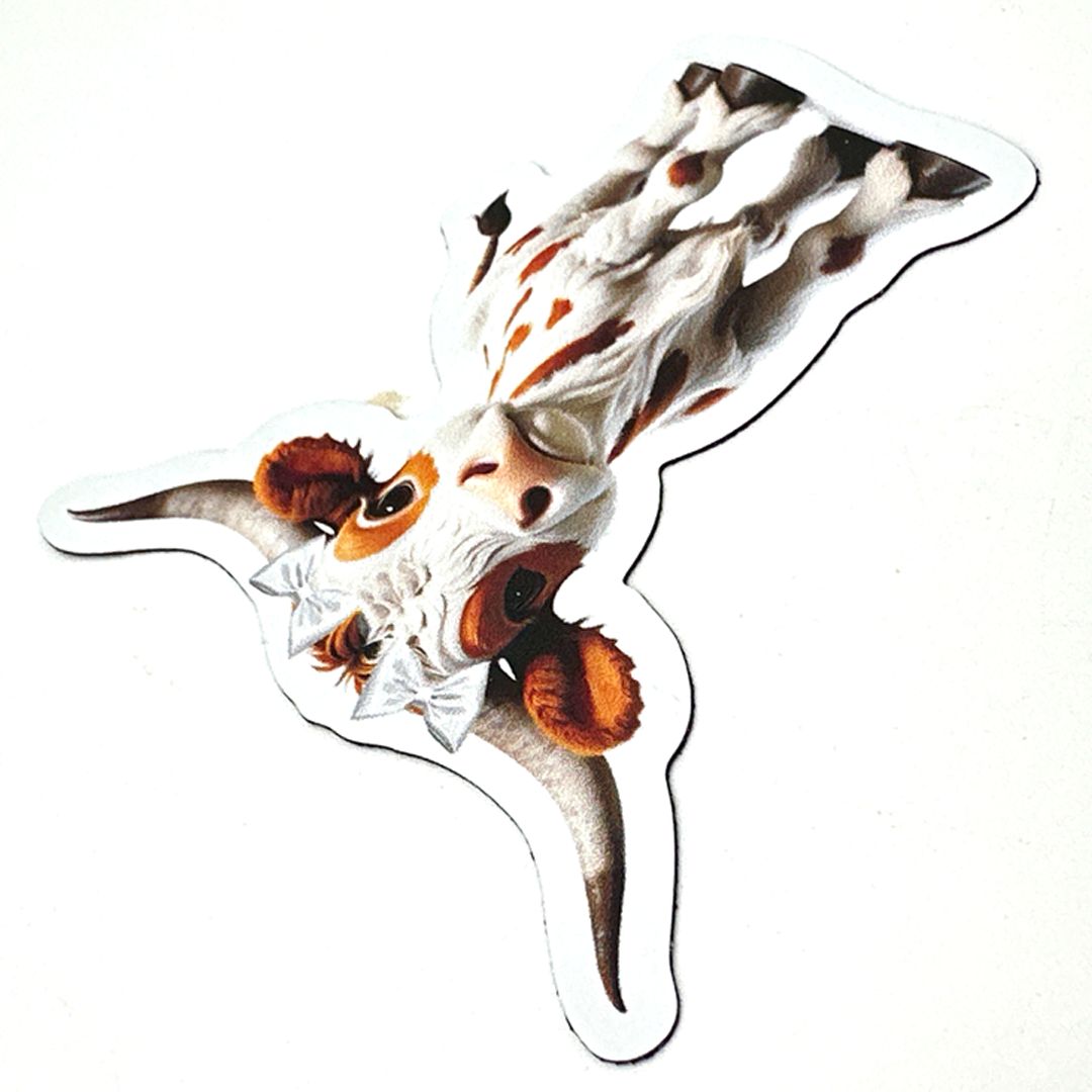 CUSTOM PRINTED MAGNETS