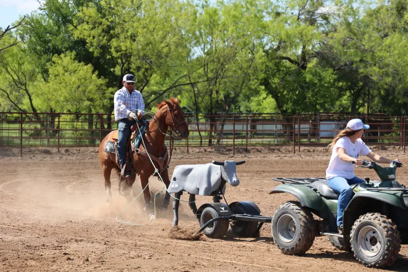 Roping Training Systems