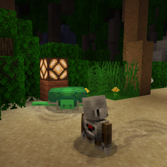 Block by Block: Coding FUNdamentals