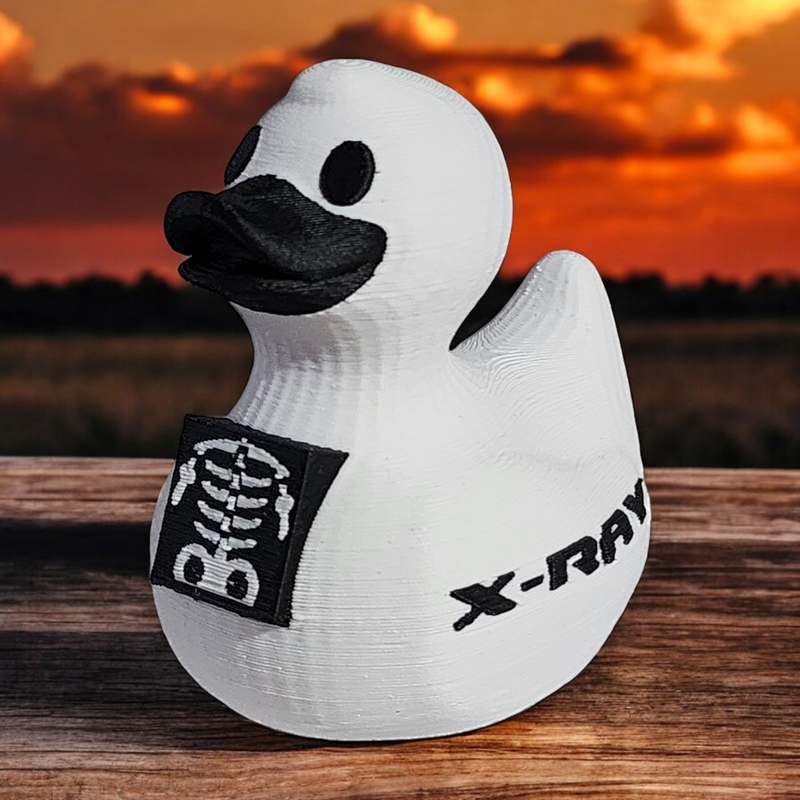 X-Ray Tech Duck