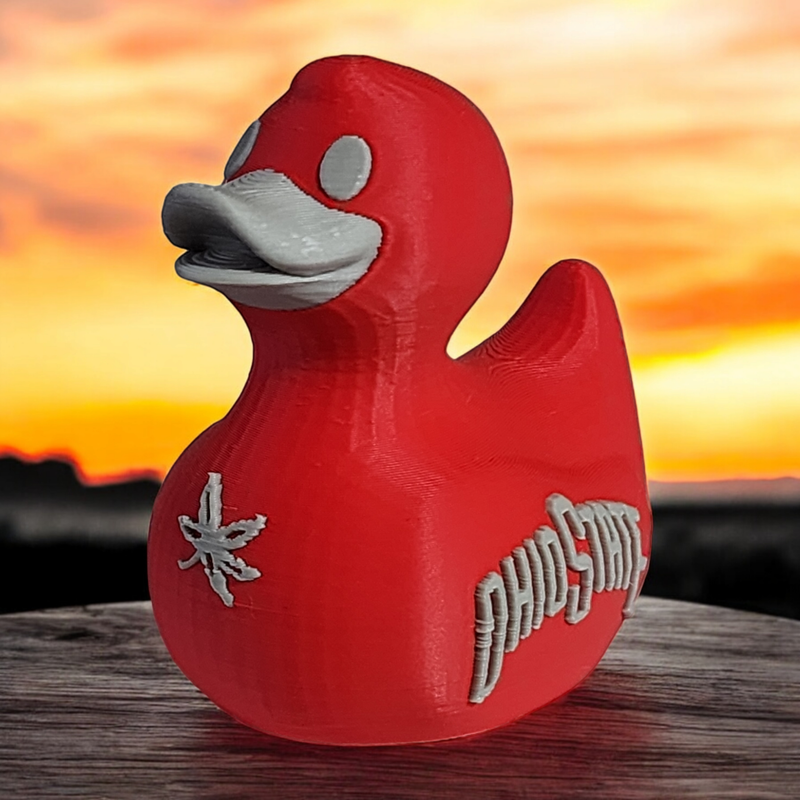 Ohio State Buckeyes Duck