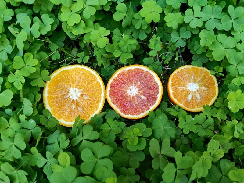 Buy Organic Blood Red Malta | Premium Non-Navel Sweet Orange | Delivery ...