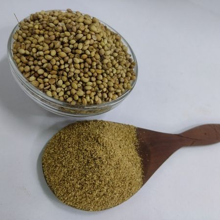 Premium Organic Dhania Seed Powder | Fresh & Aromatic | Delivery in ...