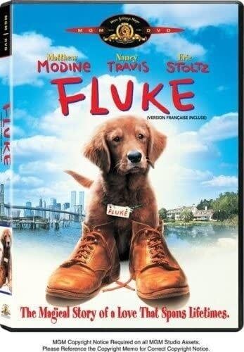 Fluke (1995) (DVD) Matthew Modine