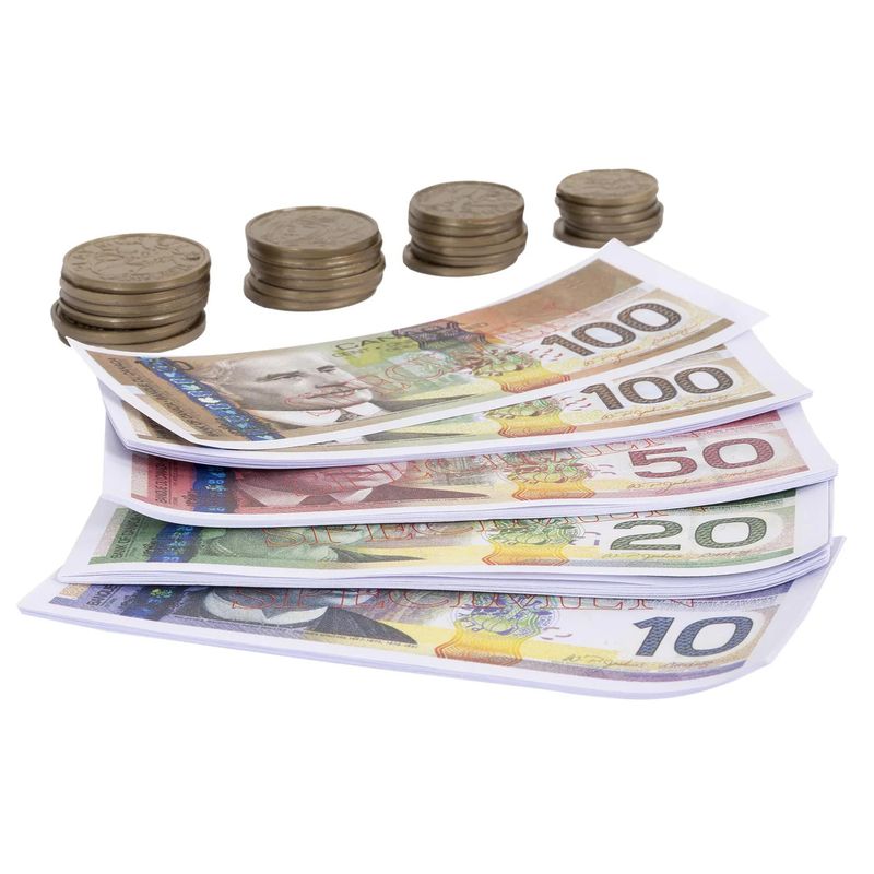 Canadian Currency Play Money (Toy Galaxy)
