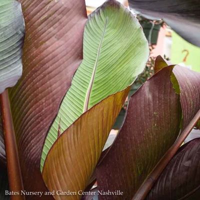 Bates Nursery & Garden Center