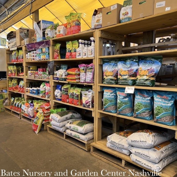 Plant Care | Bates Nursery & Garden Center | Nashville, TN