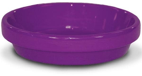 8" Saucer Glazed Violet