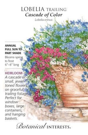 Seed Flwr Lobelia Trailing Cascade of Color Heirloom - Lobelia erinus