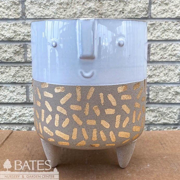 Pot Modernist Face Tall Planter Lrg 6.75x8 Cream/Gold