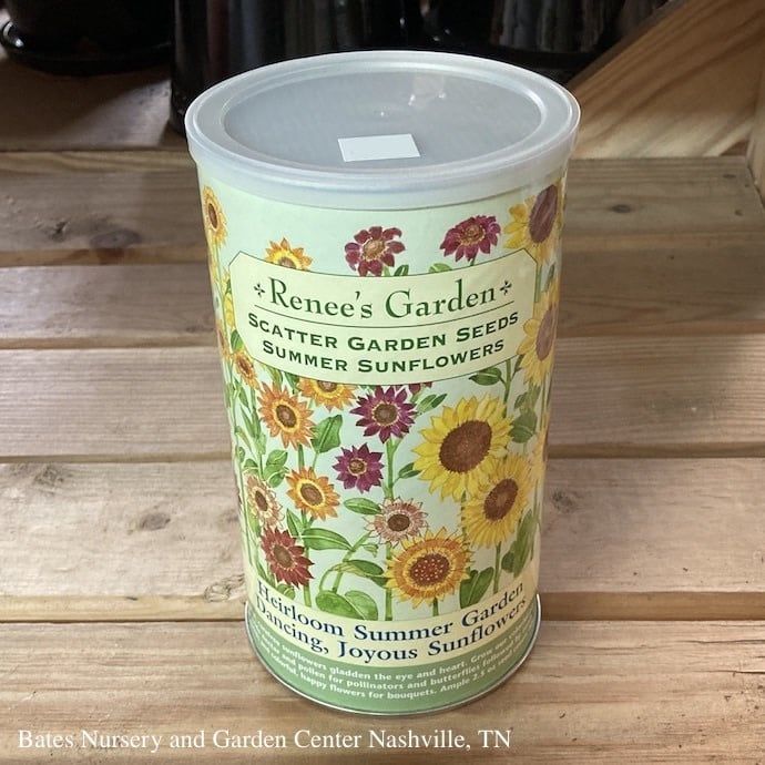 Seed Scatter Garden Summer Sunflowers Renee's Seeds