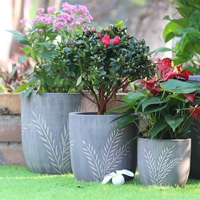 Pot Willow Leaf Print Sml 8x8 Gray