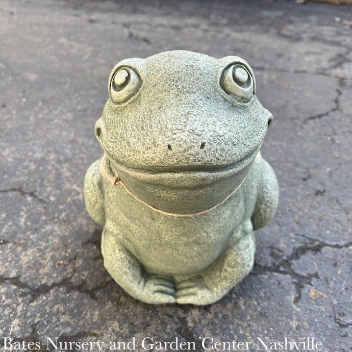 Pot Ribbit the Frog Planter 8x10 Concrete