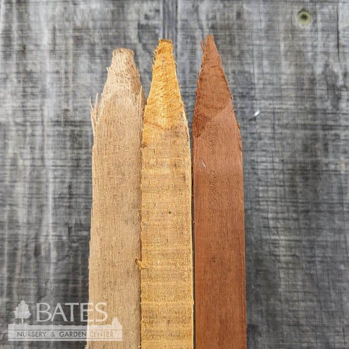 6ft Hardwood Stake 3/4" /Tomato Stake EACH Orbit