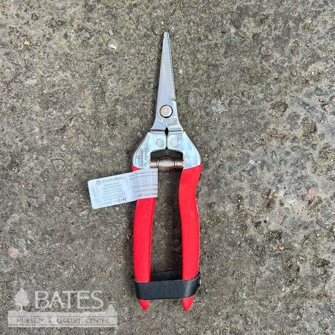 Corona Long Straight Snips Stainless Steel 1 -3/4in