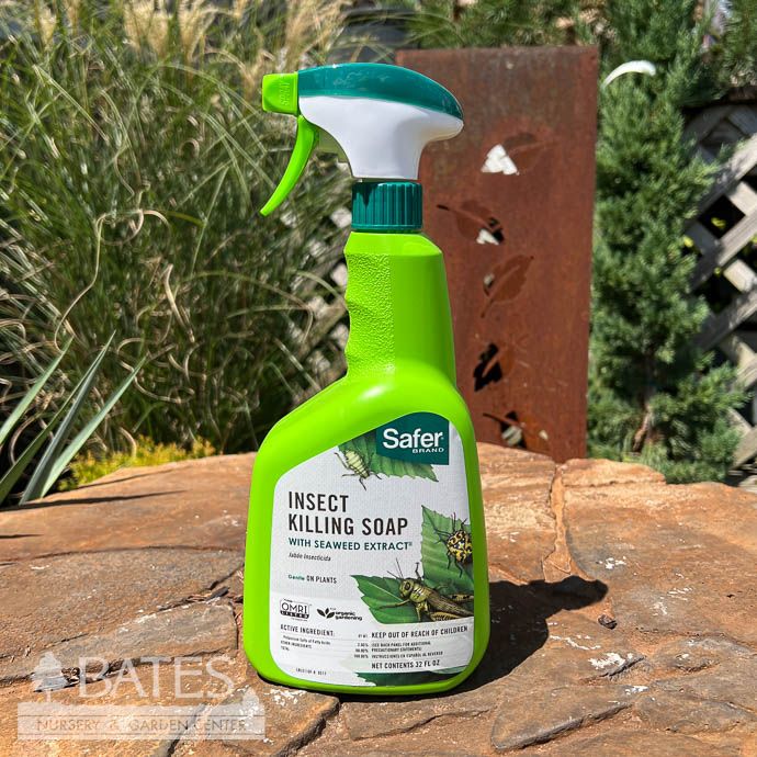 32oz Safer Insecticidal Soap RTU X