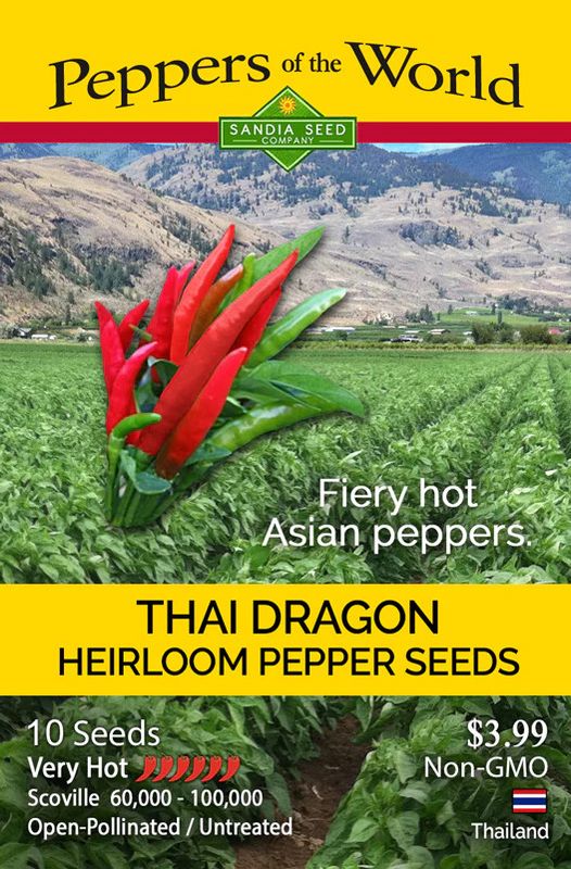 Seed Pepper Thai Dragon - Capsicum frutescens