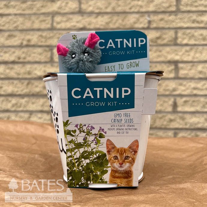 Catnip Grow Kits