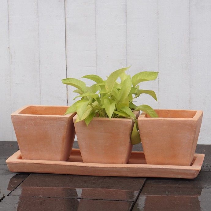 Pot Trio Planter (6x5) w/Tray (19x6) Wash Terracotta