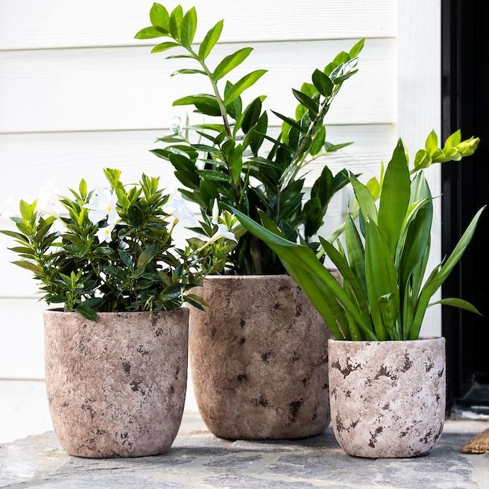 Pot Lucas Splattered Med 10x10 Aged