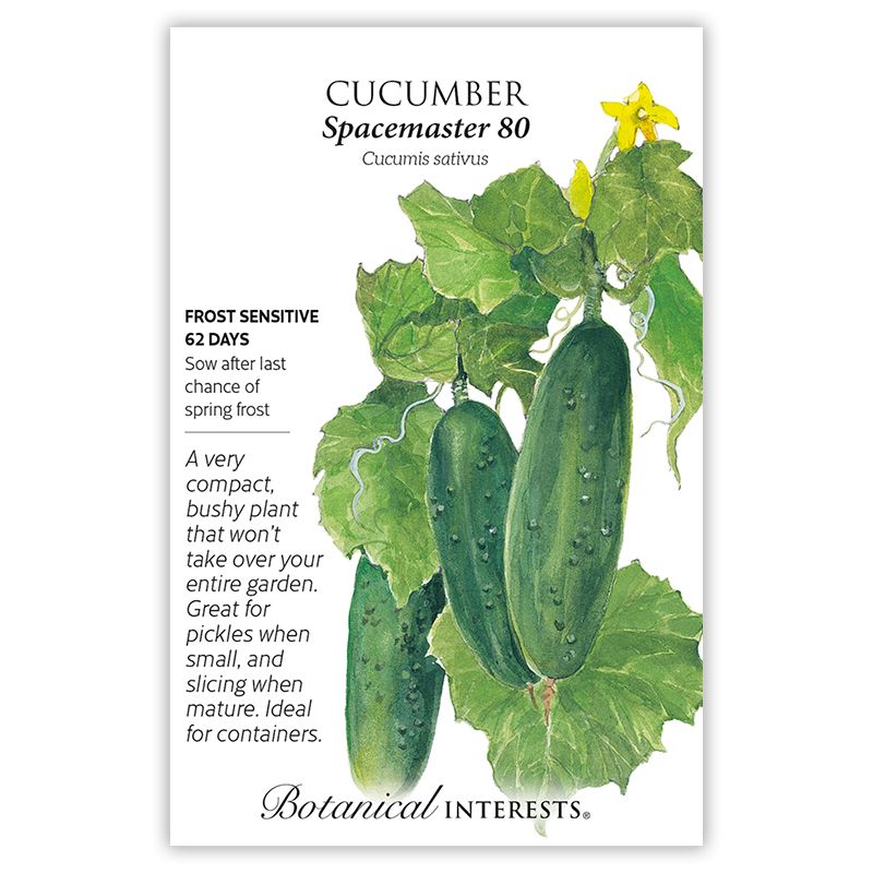 Seed Veg Cucumber Spacemaster 80 - Cucumis sativus