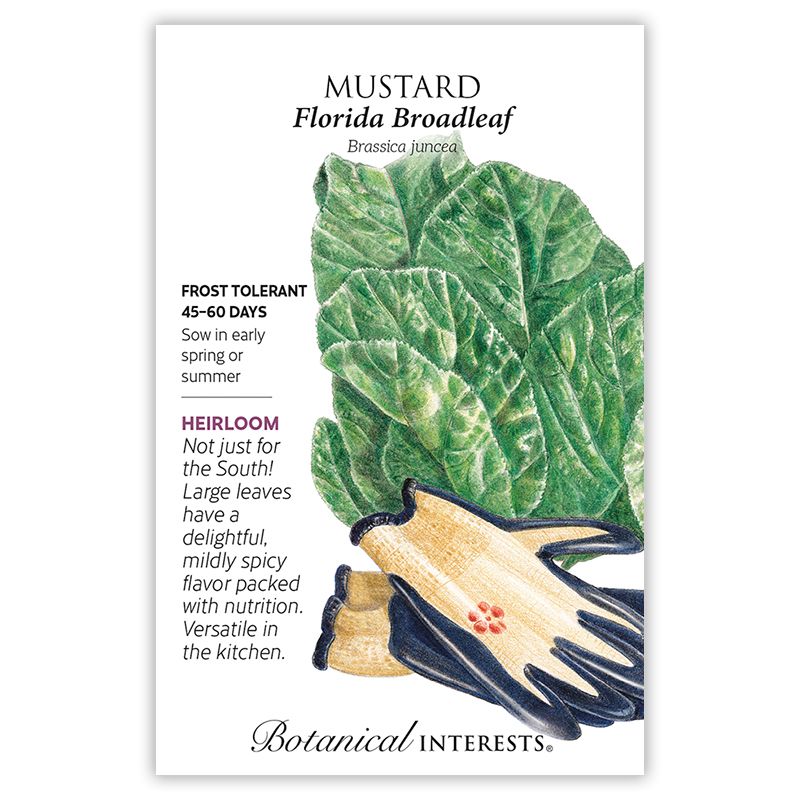 Seed Veg Mustard Florida Broadleaf Heirloom - Brassica juncea