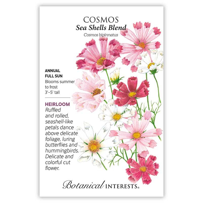 Seed Flwr Cosmos Sea Shells Blend Heirloom - Cosmos bipinnatus