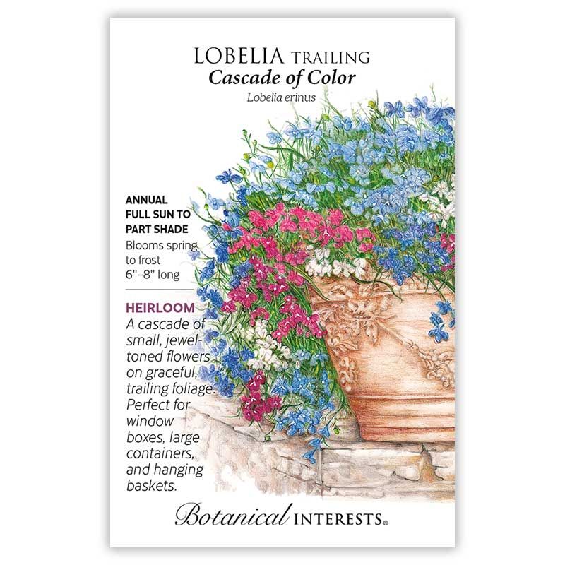 Seed Flwr Lobelia Trailing Cascade of Color Heirloom - Lobelia erinus