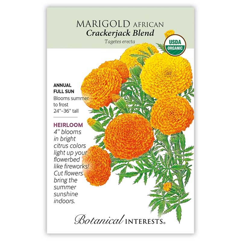 Seed Flwr Marigold African Crackerjack Blend Organic Heirloom - Tagetes ...