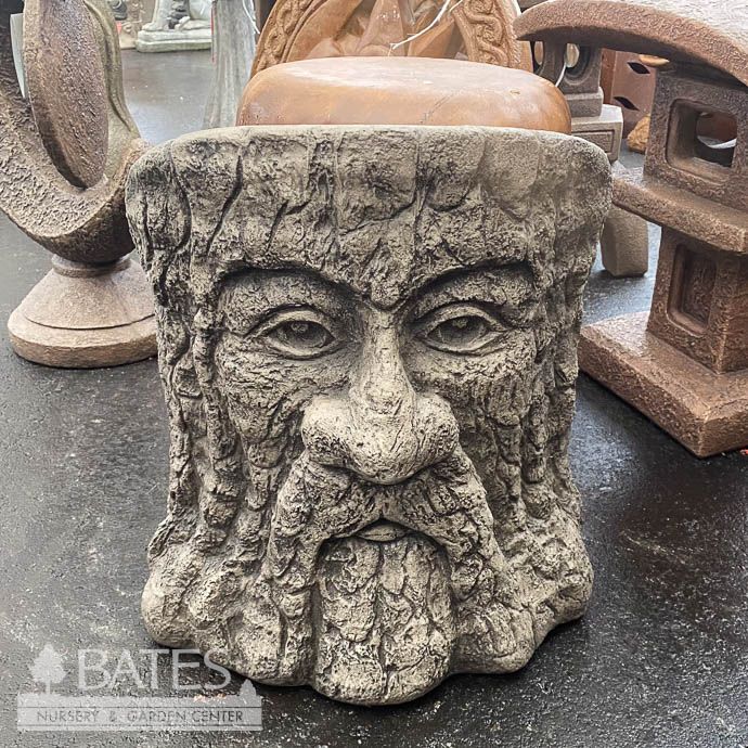 Statuary Tree Stump Face 18hx16w