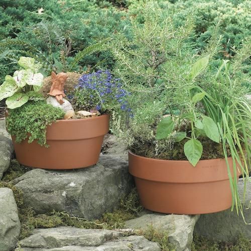 Pot Garden Bulb Pan/Container 8x 4 Red Clay / Terracotta
