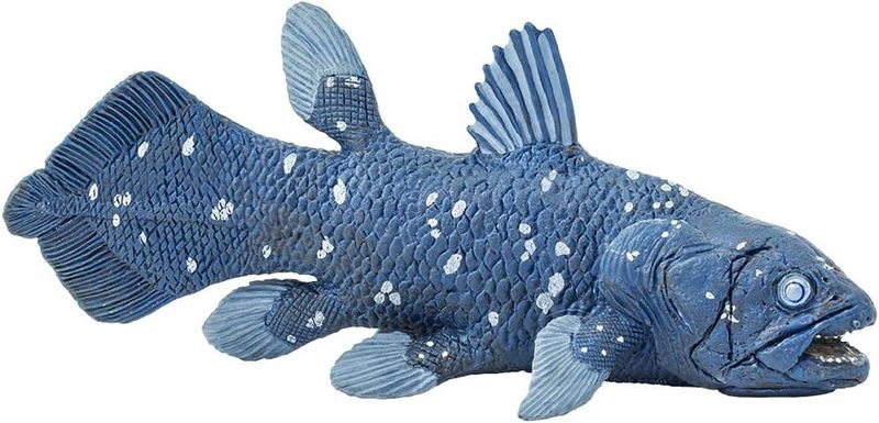 Coelacanth (Safari)
