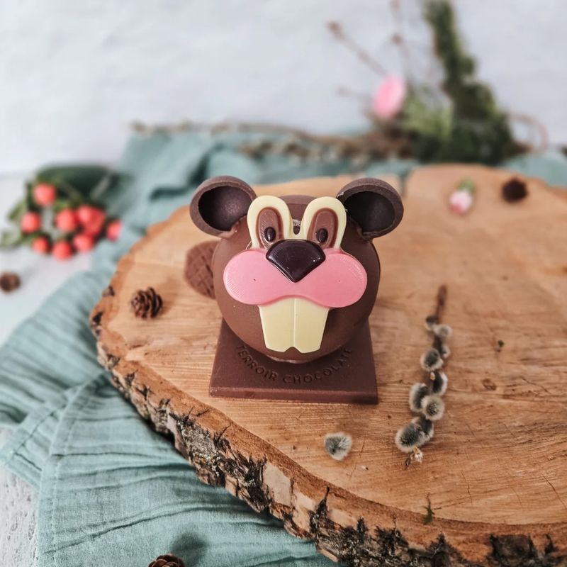 Jules le castor (Oka, Qc)