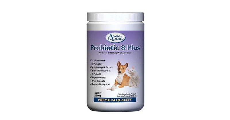 Omega Alpha Probiotic 8 Plus 310g
