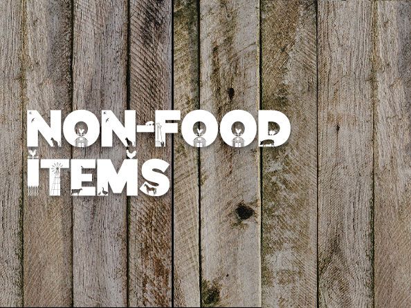 Non-Food Items