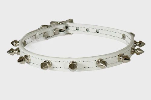 Choker CK135 [WHITE]