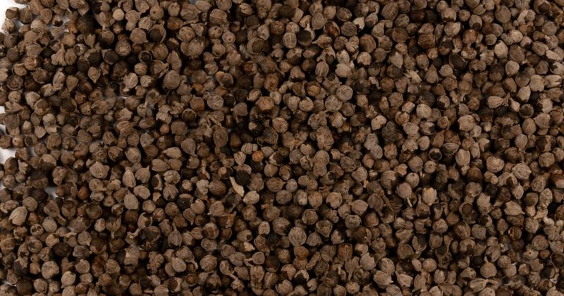 Chaste Berry aka Chaste Tree Berries 0.25 oz