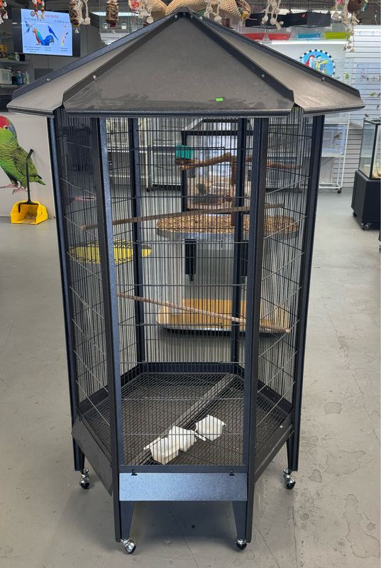 Exotic Birds Store | Greater Miami Area | 561-278-5394