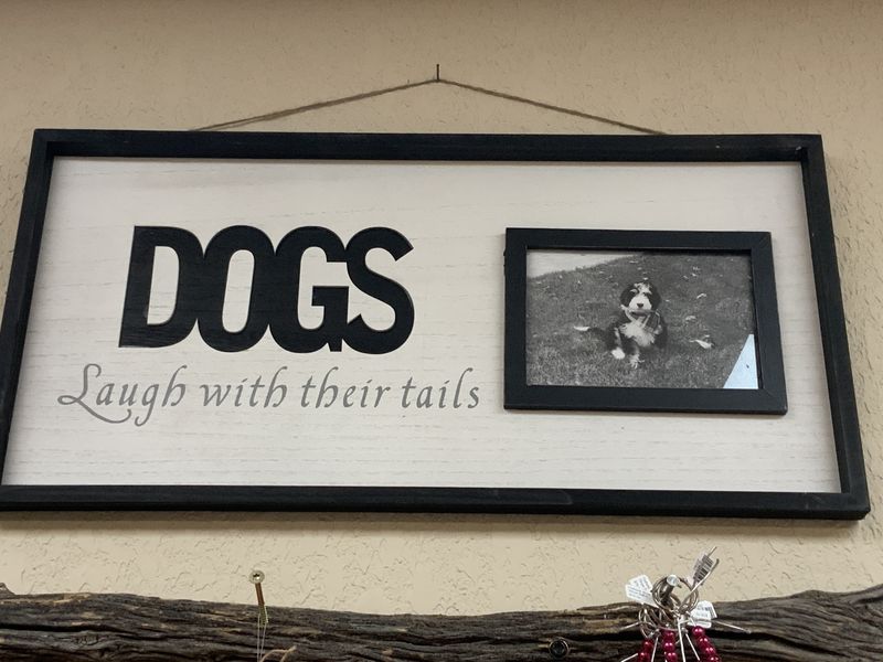Sign, Dogs Laugh Tails 24" wood
