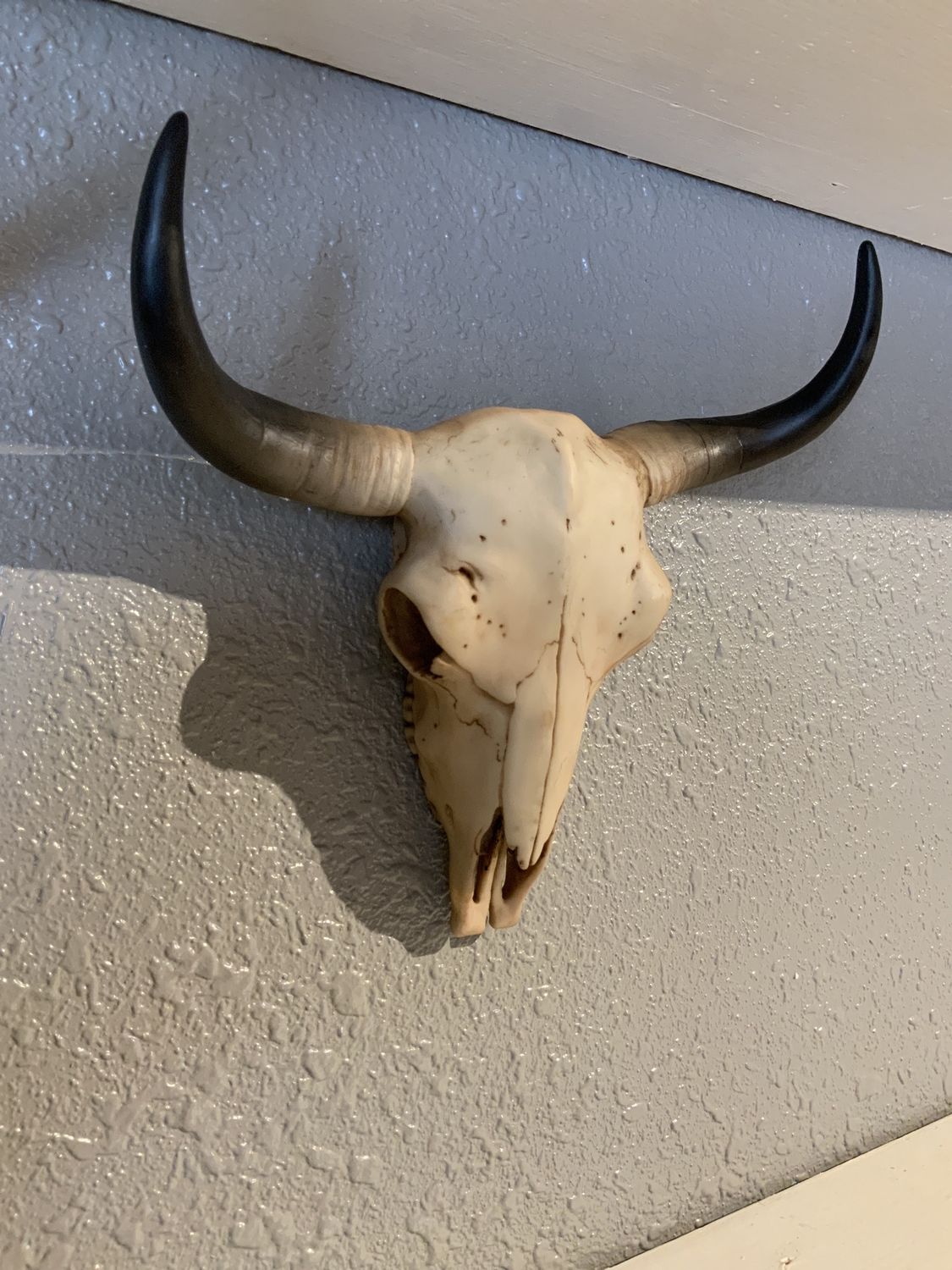 Wall Decor, Cow Skull