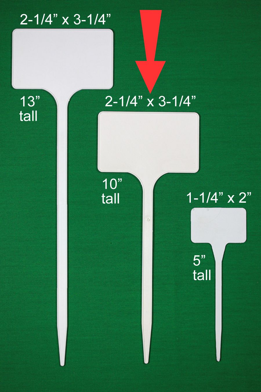 10" Straight Top T-Sign – Durable Metal Garden Marker | Store | DP ...