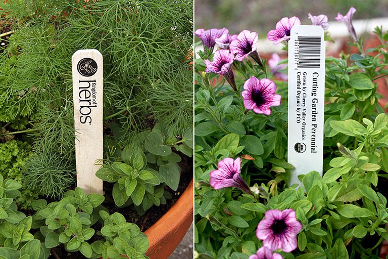 Custom Printed Stakes & Tags | Store | DP Industries