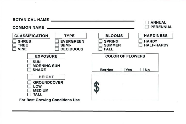 7" X 11" Plant Info Sign Card 25/Pack | Store | DP Industries