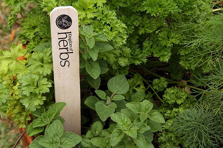 Flexo-Printed Wood Stakes | Store | DP Industries