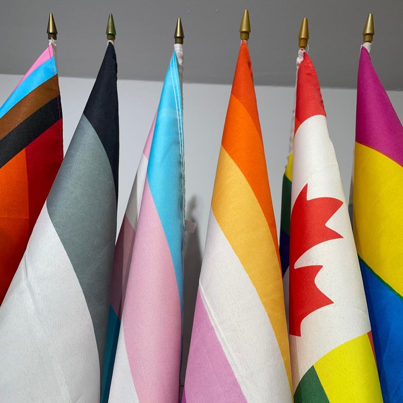 Medium pride flags 12x18"