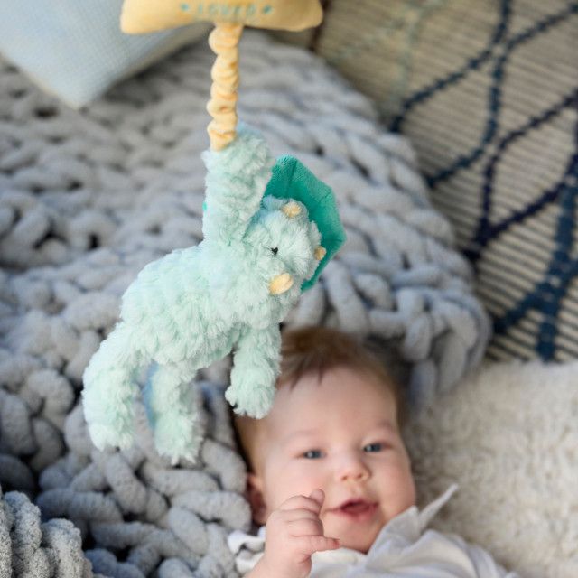 Musical Pull Toy - Triceratops