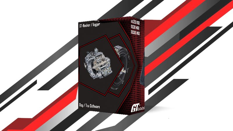 DSG DQ381 EVO Stage 1 Gt-flasher Package