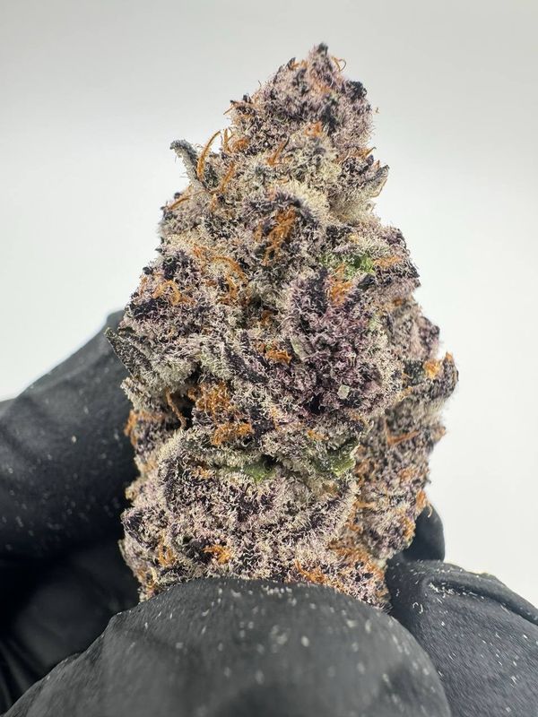 Super Buff Cherry #26