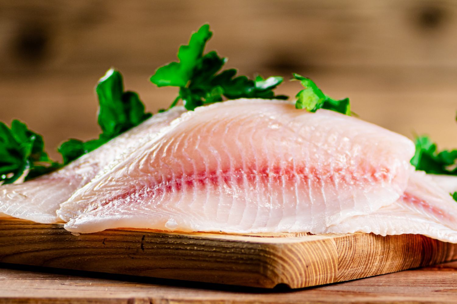 Red Grouper Fillet – Shop – Local Seas Fisheries