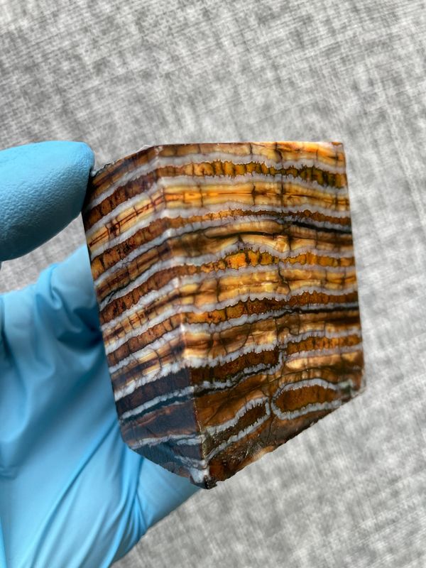 Buy T717 stabilized woolly mammoth tooth block